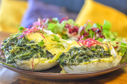 Arcus Coffee - Infosnews